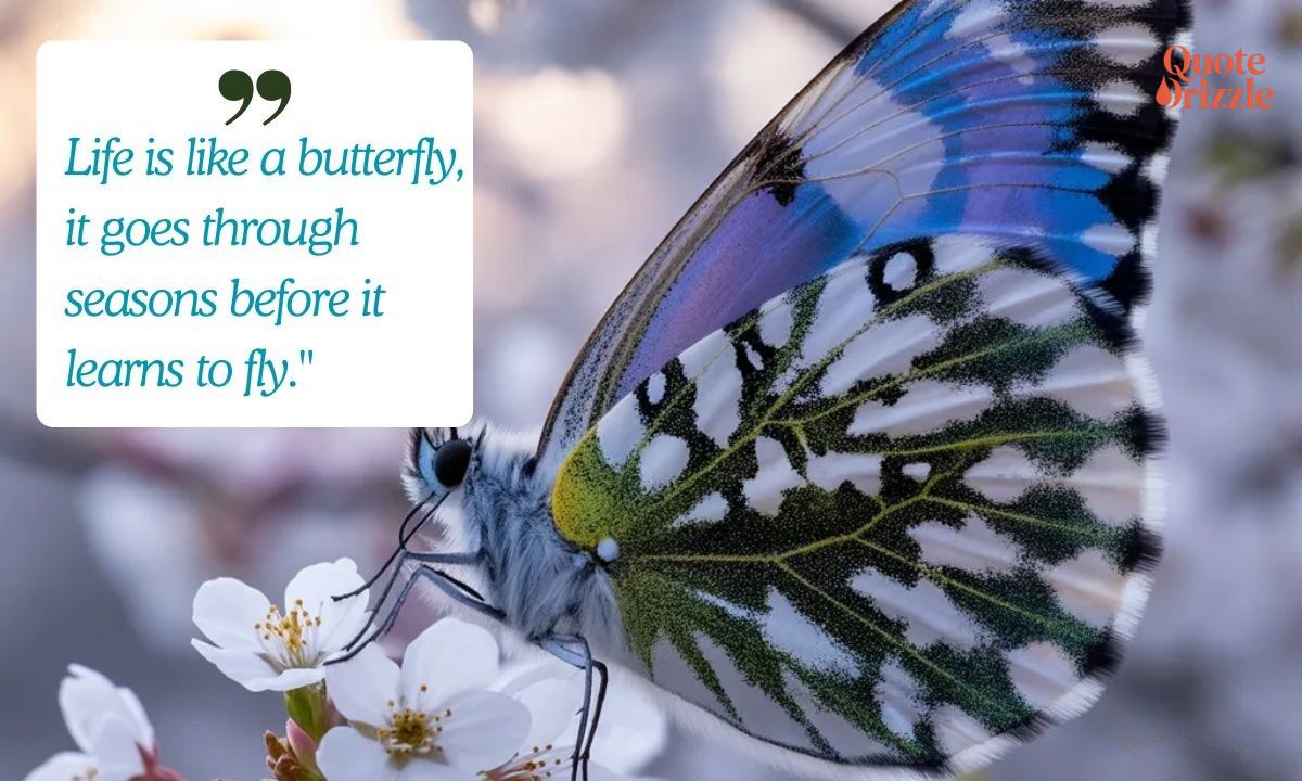 99+ Beautiful Butterfly Quotes That Will Inspire Your Soul