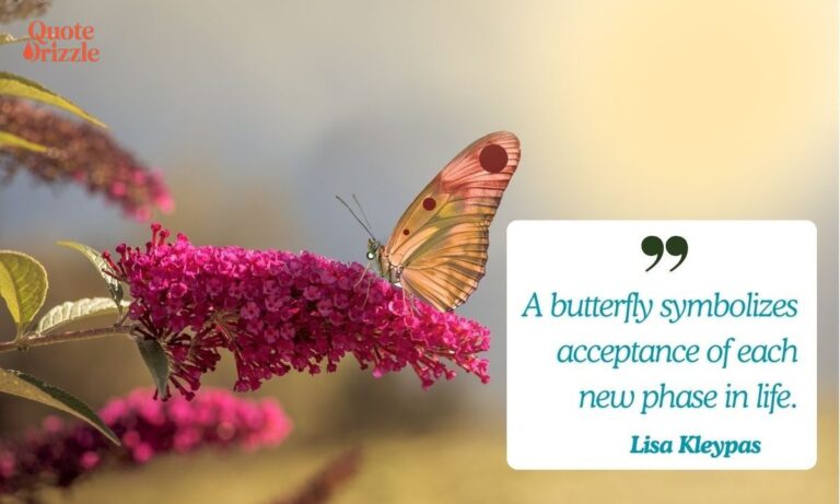 99+ Beautiful Butterfly Quotes That Will Inspire Your Soul